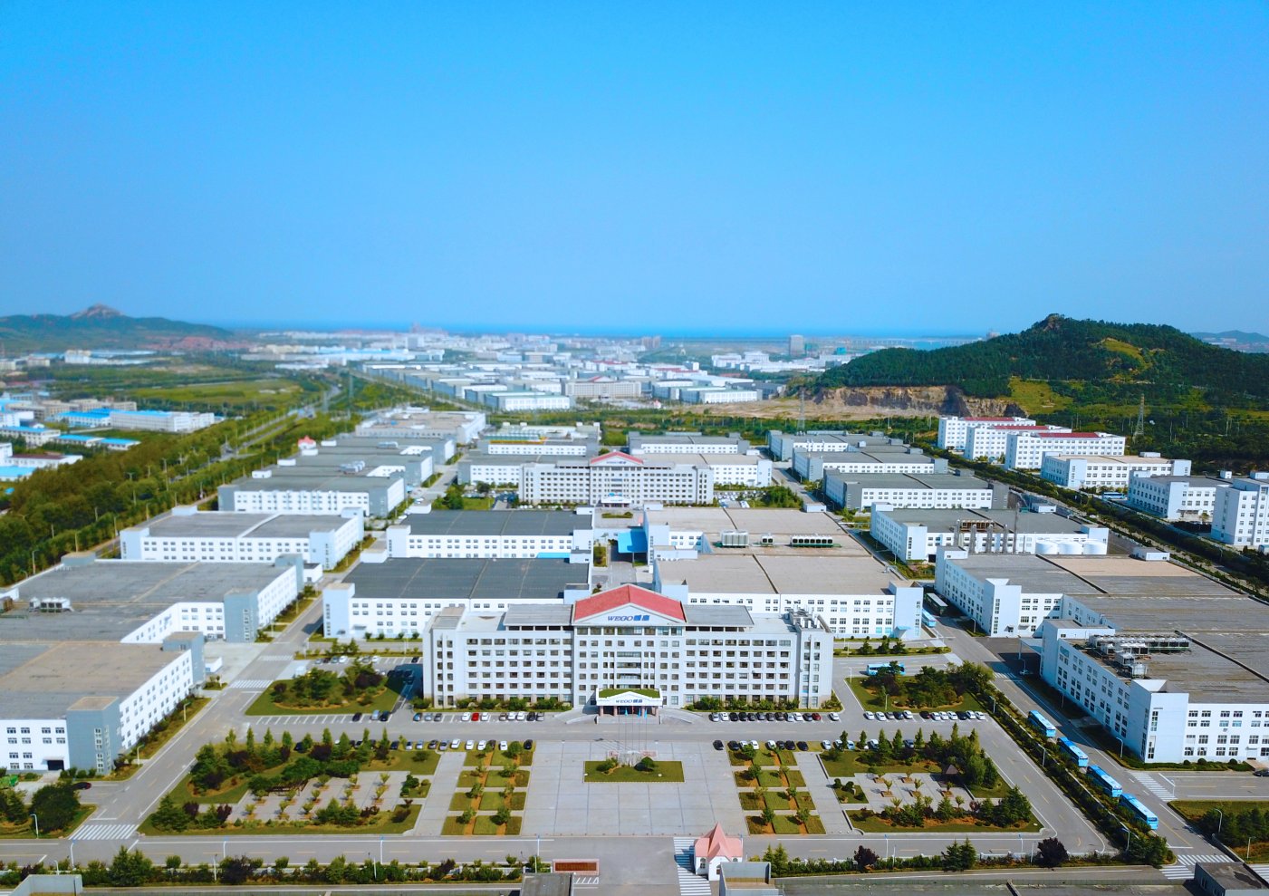 Medical Consumables Manufacturer & Supplier - WEGO Medical